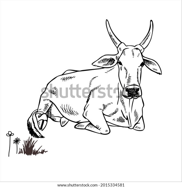 This Outline Cow Image Coloring Stock Vector (Royalty Free) 2015334581 ...