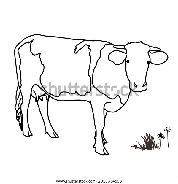 This Outline Cow Image Coloring Stock Vector (Royalty Free) 2015334653 ...