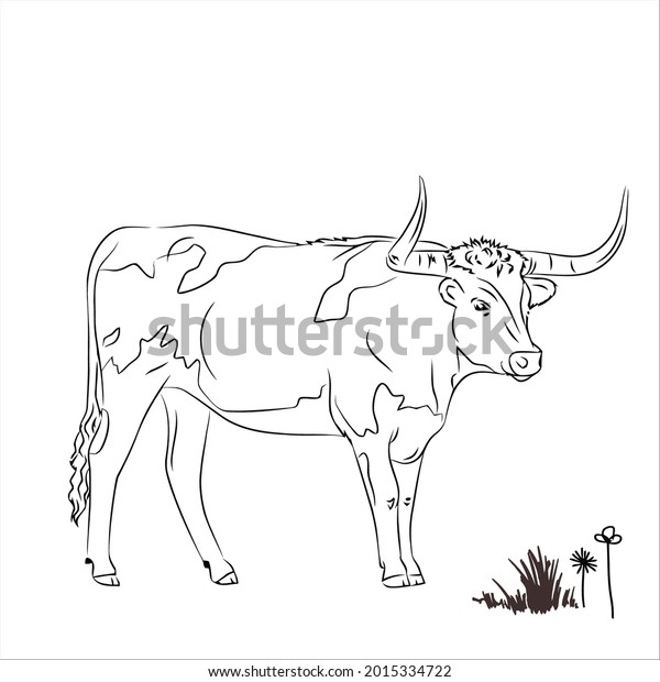 This Outline Cow Image Coloring Stock Vector (Royalty Free) 2015334722 ...