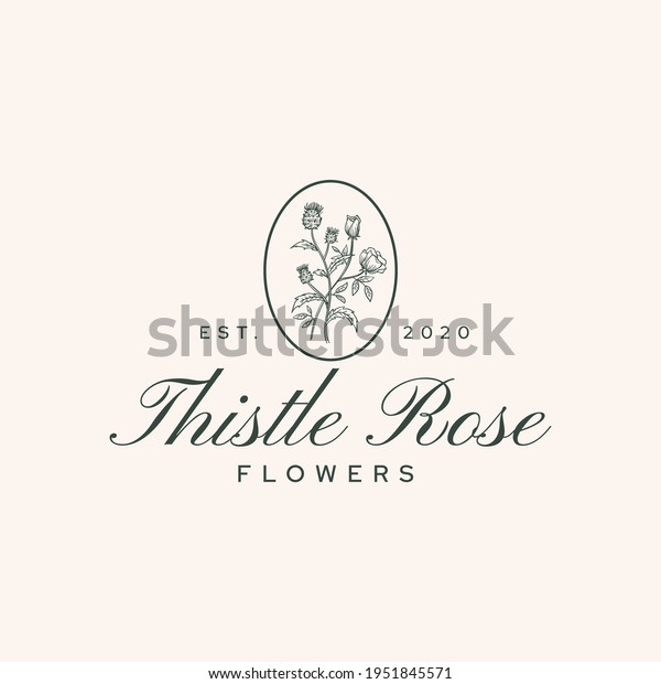 2,927 Thistle And Rose Images, Stock Photos & Vectors | Shutterstock