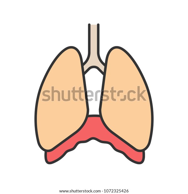 Cartoon Diaphragm