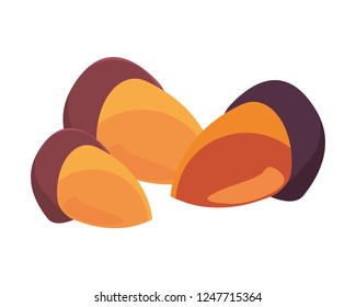 Three Acorn Nuts On White Background Stock Vector (Royalty Free ...
