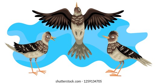 Three Birds Fly Against Background Sky Stock Vector (Royalty Free ...