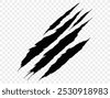 18+ Thousand Claw Marks Royalty-Free Images, Stock Photos & Pictures ...