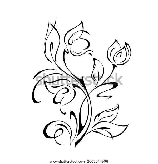 Three Flower Buds On Curved Stems Stock Vector (Royalty Free ...