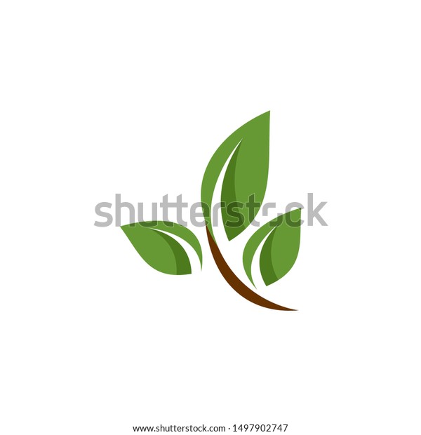 Three Leaf Branch Logo Green Leaf Stock Vector (Royalty Free ...