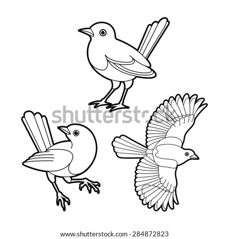 Three Magpie Birds Black Outline Stock Vector (Royalty Free) 284872823 ...