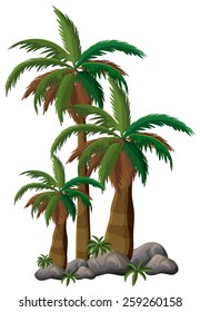 Tres palmeras junto a las rocas: vector de stock (libre de regalías ...