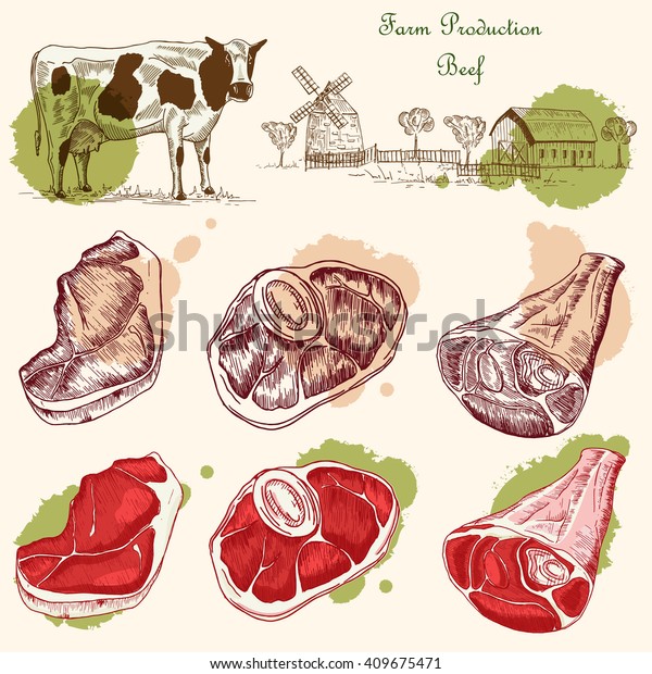 Three Peaces Beef Cow Farm Background Stock Vector (Royalty Free ...