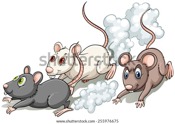 Three Rats Racing On White Background Stock Vector (Royalty Free) 255976675