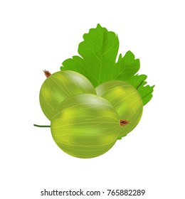 119 Amla tree Stock Illustrations, Images & Vectors | Shutterstock