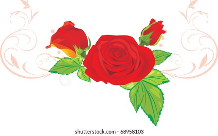 Three Red Roses Ornament Vector Stock Vector (Royalty Free) 68958103 ...