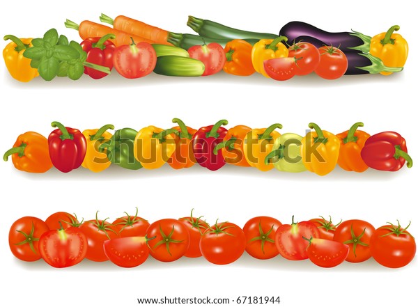 Three Vegetable Design Borders Photorealistic Vector Stock Vector ...