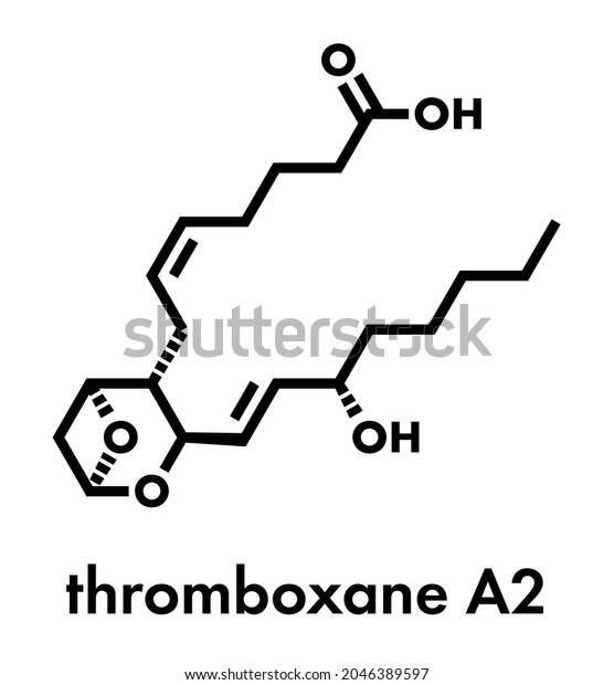 Thromboxane A2 Txa2 Molecule Skeletal Formula Stock Vector (Royalty ...