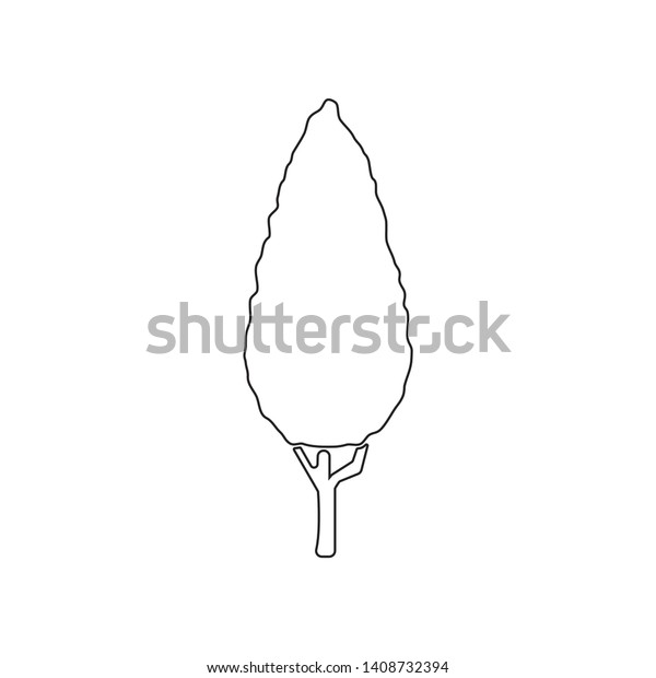 Thuja Black Tree Icon Set Silhouette Stock Vector (Royalty Free ...