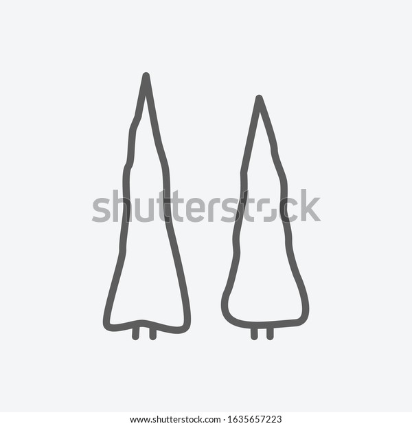 Thuja Icon Line Symbol Isolated Vector Stock Vector (Royalty Free ...
