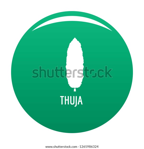 Thuja Tree Icon Simple Illustration Thuja Stock Vector (Royalty Free ...