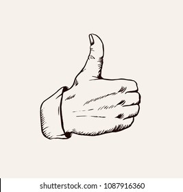 Thumbs Sketch Vector Illustration Hand Drawn Stock Vector (Royalty Free ...