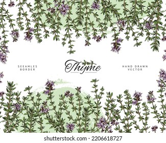 Thyme Seamless Border Frame Design Herbal Stock Vector (Royalty Free ...