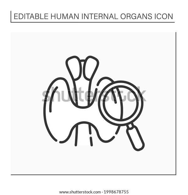 Thyroid Line Icon Endocrine Glands Neck Stock Vector (Royalty Free ...