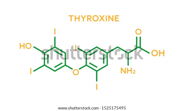 Thyroxine Hormone Molecular Formula Human Body Stock Vector (Royalty ...