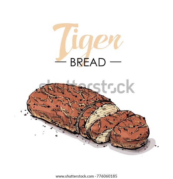 Tiger Bread Drawing Sketch Style Vector Stock Vector (Royalty Free ...