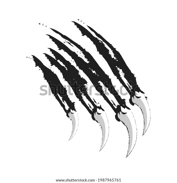 Tiger Claw Illustration Vector Drawing Stock Vector (Royalty Free ...