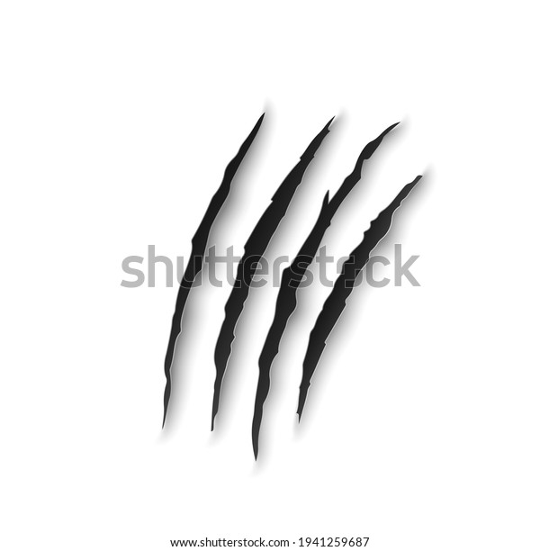 Tiger Claw Marks Scratches Predator Nails: เวกเตอร์สต็อก (ปลอดค่า ...