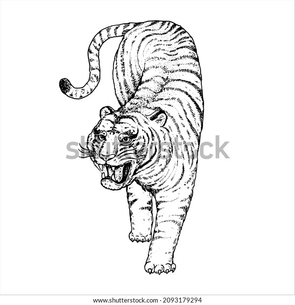 Tiger Climbing Down Sketch Vintage Illustration Stock Vector (Royalty ...