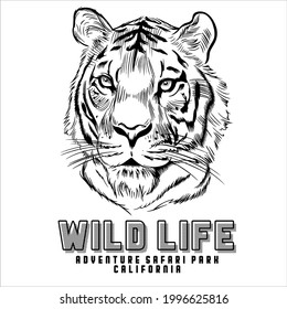 Tiger Design Vector Wild Life Stock Vector (Royalty Free) 1996625816 ...