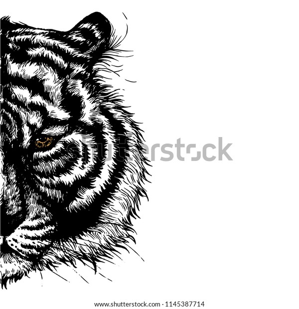 Tiger Face On White Background Stock Vector (Royalty Free) 1145387714 ...