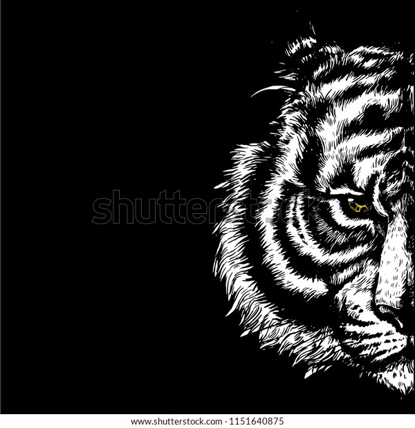Tiger Half Face On Black Background Stock Vector (Royalty Free ...