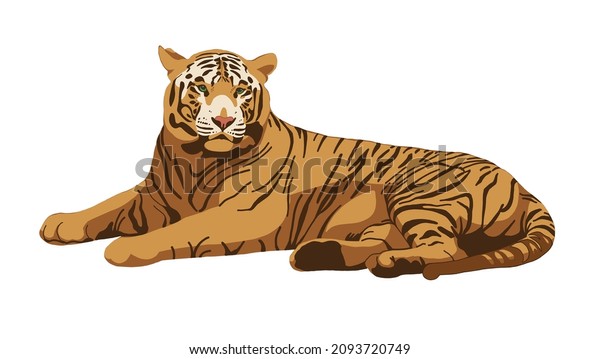 Tiger Hand Drawn Illustration Red Tiger Stock Vector (Royalty Free ...