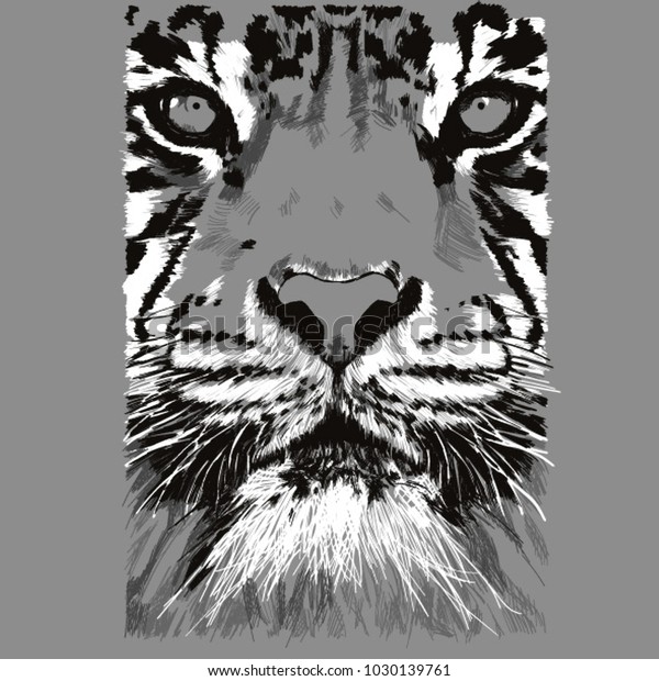 Tiger Head Front Look Detailed Hand Stock Vector (Royalty Free) 1030139761