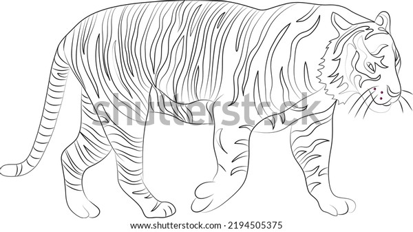 Tiger Line Art Coloring Page Stock Vector (Royalty Free) 2194505375 ...