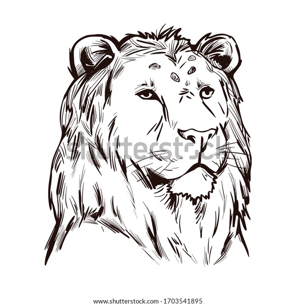 Tigon Animal Muzzle Portrait Closeup Animalistic Stock Vector (Royalty ...