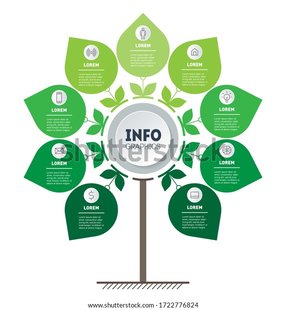 Timeline Infographics Nine Steps Tree Development: immagine vettoriale ...