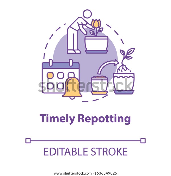 Timely Repotting Concept Icon Houseplants Concern Stock Vector (Royalty ...