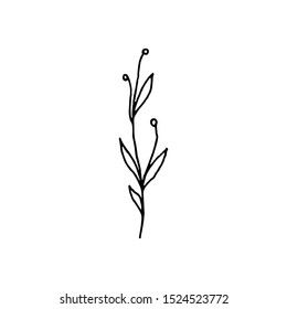 Tiny Leaves Plants Hand Drawn Vector 스톡 벡터(로열티 프리) 1524523772 ...