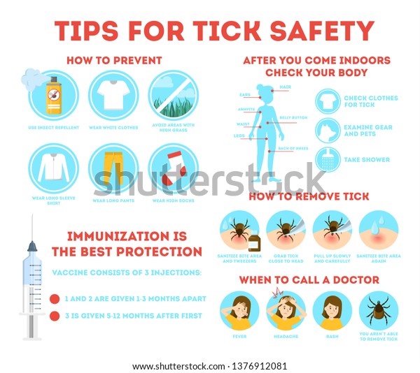 Tips Tick Safety Infographic How Protect Stock Vector (Royalty Free ...
