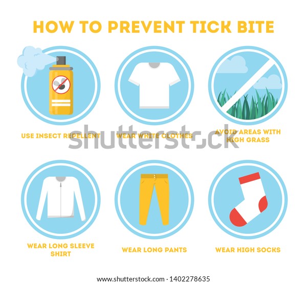 Tips Tick Safety Infographic How Protect Stock Vector (Royalty Free ...