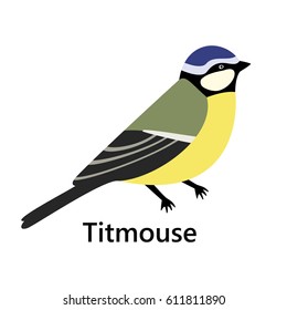 Titmouse Color On White Background Text Stock Vector (Royalty Free ...