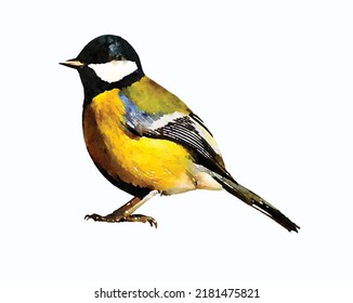 421 Titmouse logo Images, Stock Photos & Vectors | Shutterstock