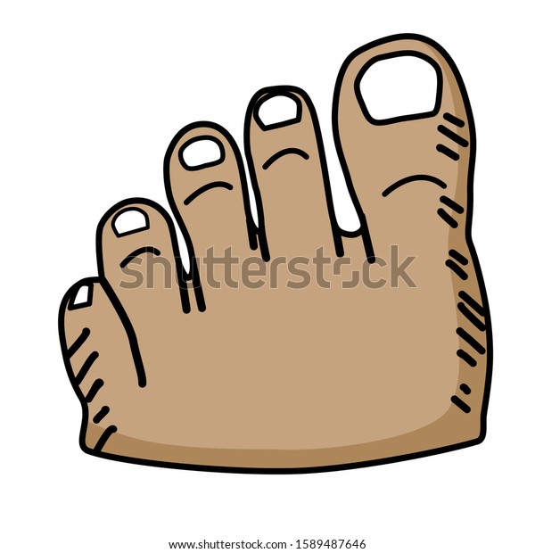 Toes Illustration Isolated White Background Hand Stock Vector (Royalty ...