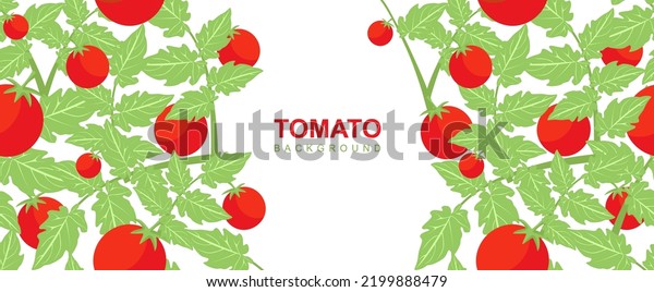 Tomato Background Design Leaves Tomatoes Frame Stock Vector (Royalty ...