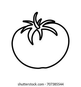 Tomato Icon Outline Stock Vector (Royalty Free) 707385544