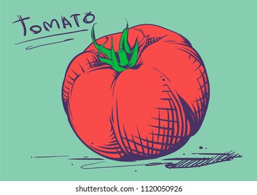 Tomato Ink Comic Style Engraving Comic 스톡 벡터(로열티 프리) 1120050926 ...