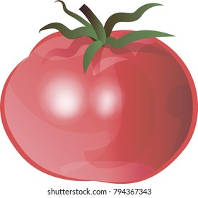 Tomato Isolated Single Simple Cartoon Vector Stock Vector (Royalty Free ...