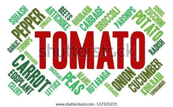 Tomato Word Cloud Green Font White Stock Vector (Royalty Free ...