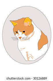 Tomcat Orange Vector Illustration Stock Vector (Royalty Free) 30126889 ...